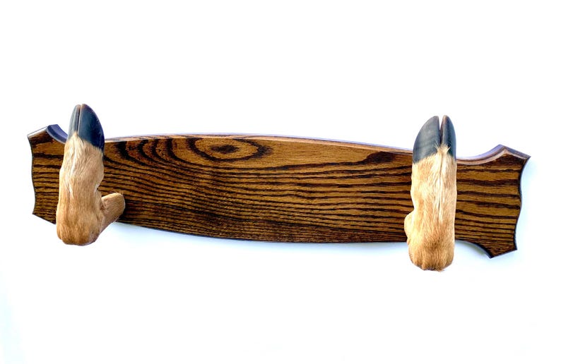 Taxidermy Deer Hoof Foot Feet Gun Rack on Beautifully Finished Oak ...