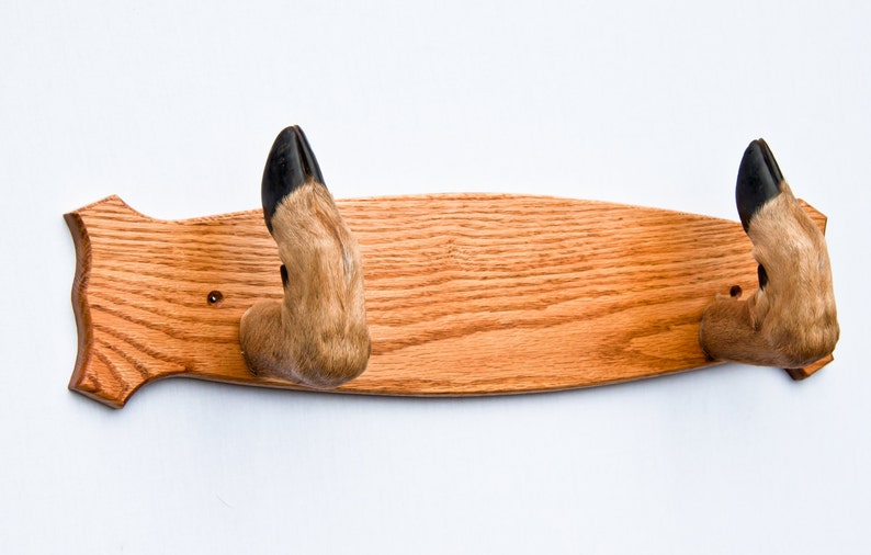 Taxidermy Deer Hoof Foot Feet Gun Rack On Beautifully Finished Oak Plaque Etsy