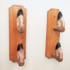 Taxidermy Deer Hoof Foot Feet Double Gun Rack on Beautiful Oak Plaques ...