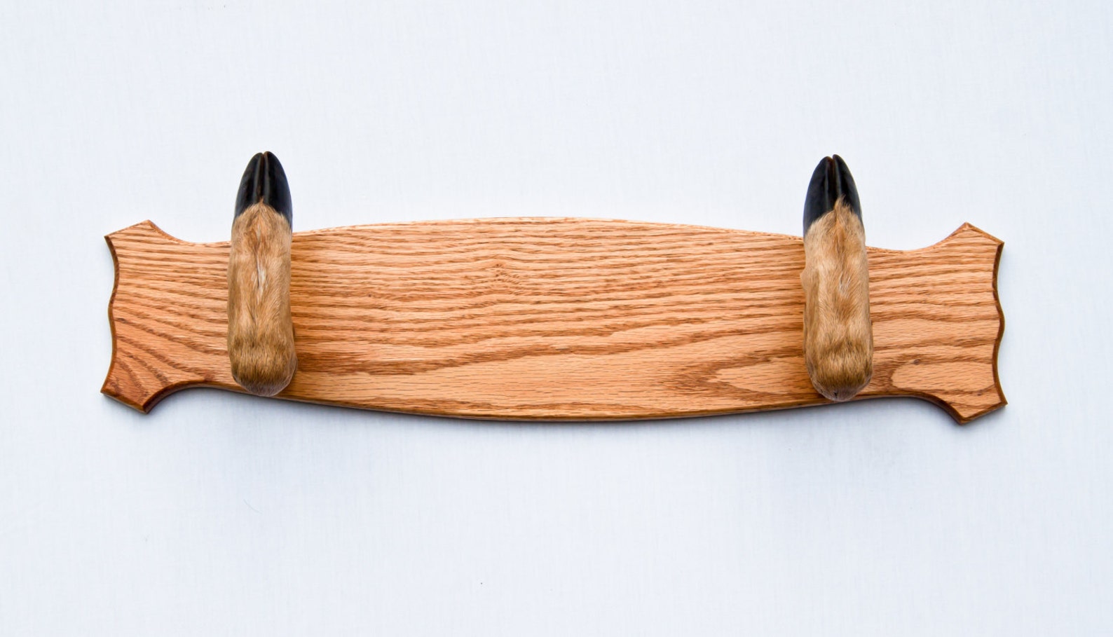 Taxidermy Deer Hoof Foot Feet Gun Rack on Beautifully Finished Oak ...