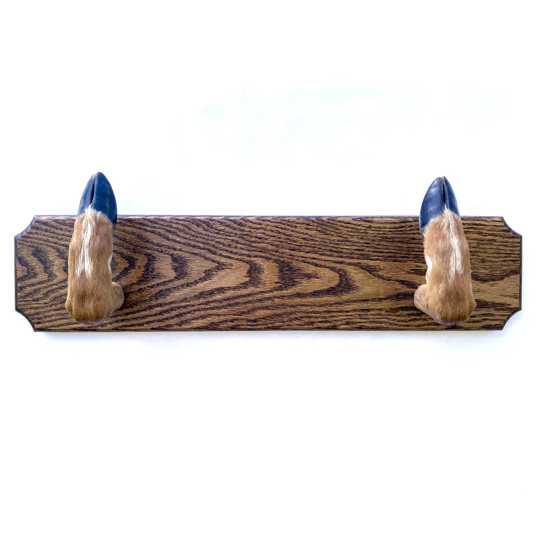 Taxidermy Deer Hoof Foot Feet Gun Rack on Beautifully Finished Oak ...