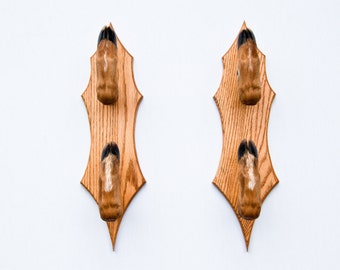 Taxidermy Deer Hoof Foot Feet Gun Rack on Beautifully Finished Oak ...
