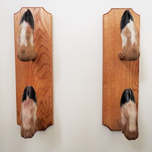 Taxidermy Deer Hoof Foot Feet Double Gun Rack on Beautiful Oak Plaques ...