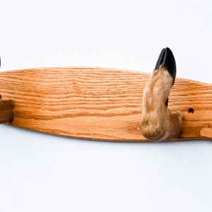 Taxidermy Deer Hoof Foot Feet Gun Rack on Beautifully Finished Oak ...
