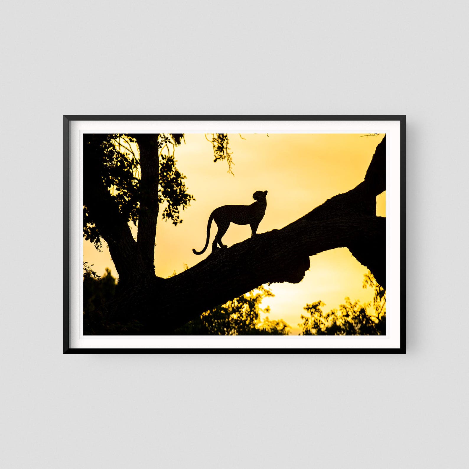 Playful Leopard Cub (digital JPEG Download) - Etsy