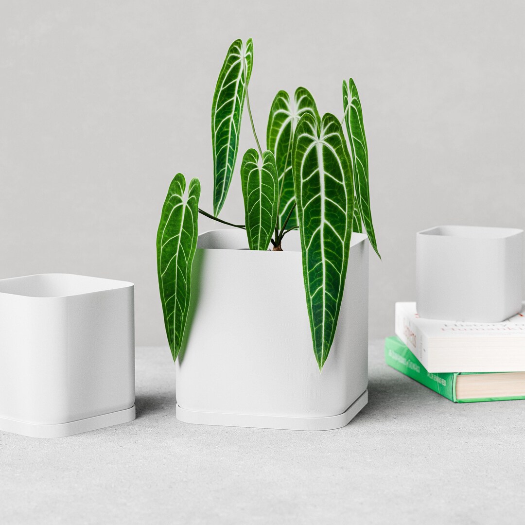 QUADRA Stylish Square Indoor Planter With Built-in Drip Tray Minimalist ...