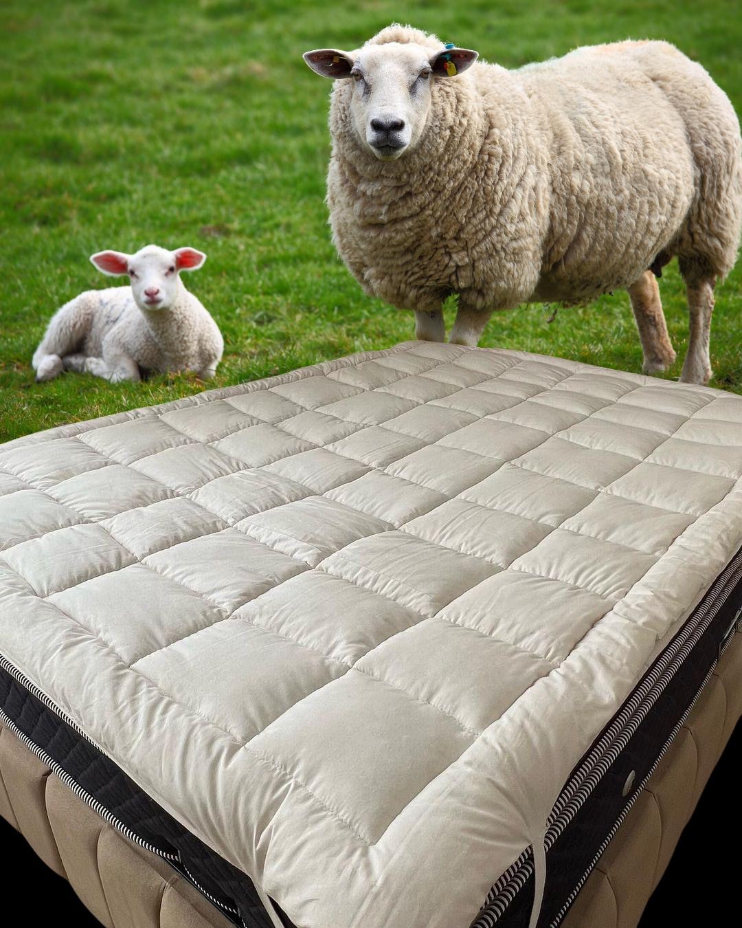 Merino Wool Mattress Pad-mattress Protector Made of Healthy Merino Lamb ...