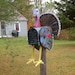 Wild Eastern Turkey Mailbox, Turkey Mailbox. - Etsy