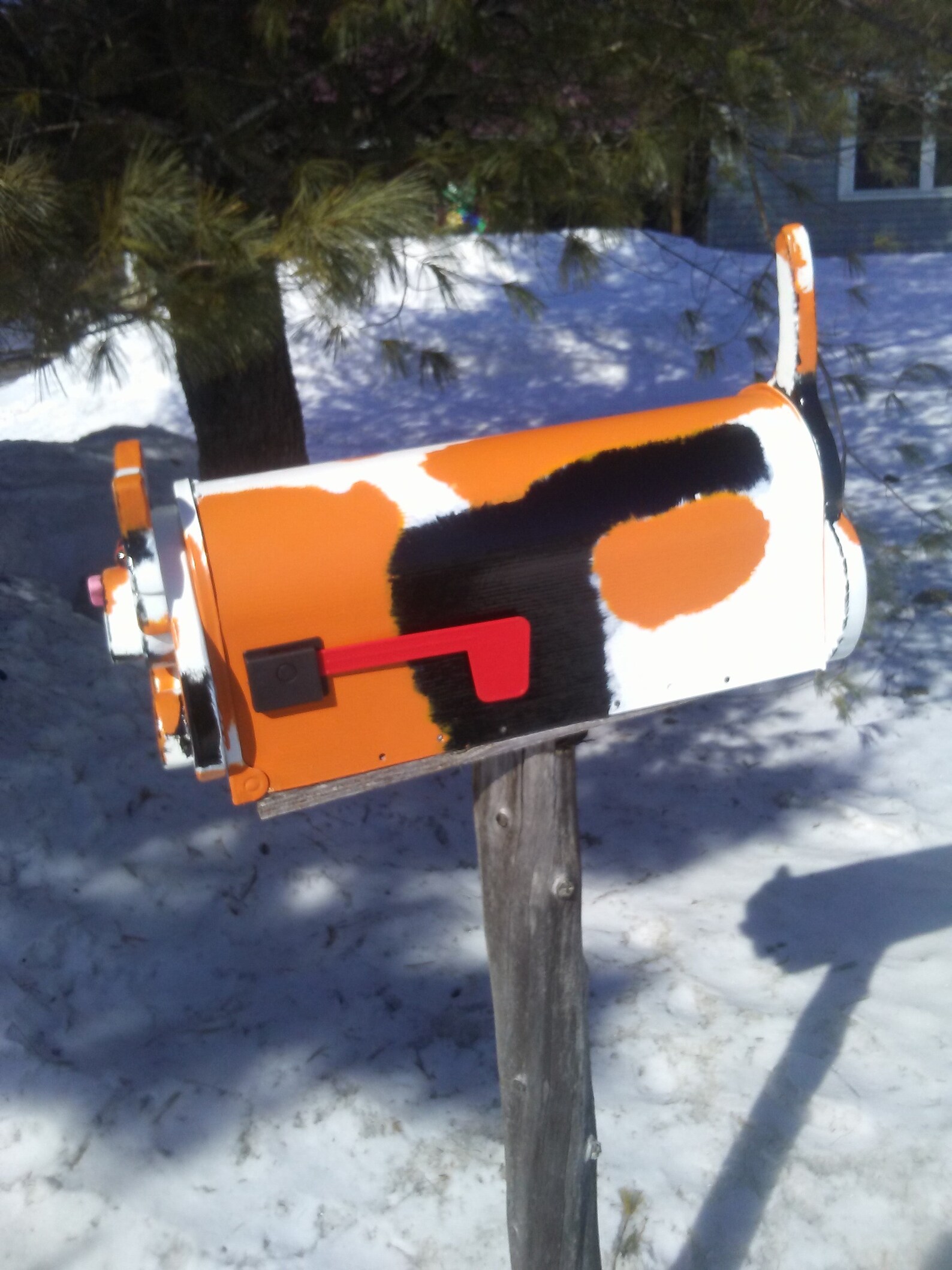 Cat Mailbox, Cat Lover Gift, Cat Lover Gift, Cat Mom Gifts, Cat Dad ...