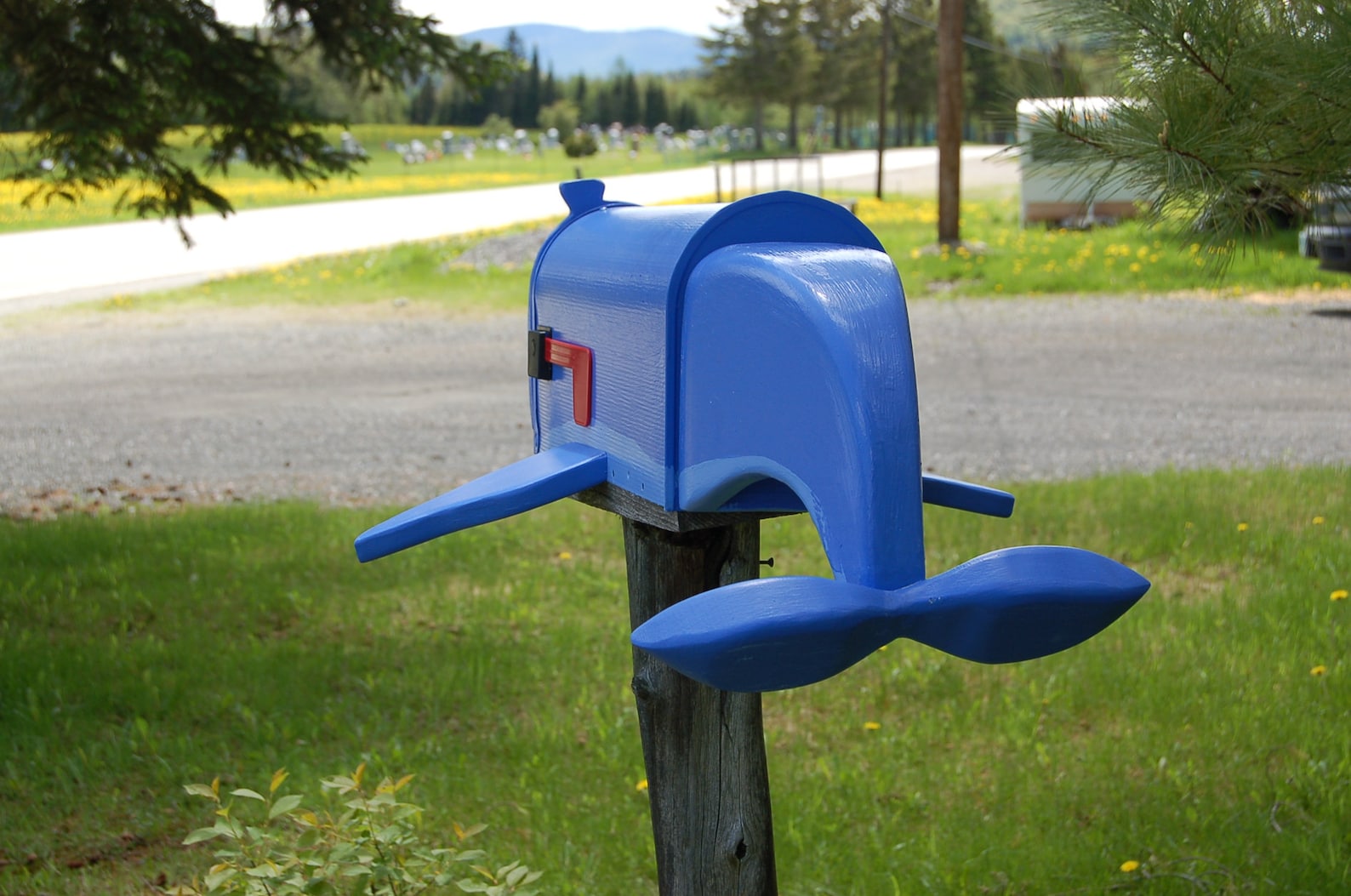 Narwhal mail box mystical whale fish mail box water life | Etsy