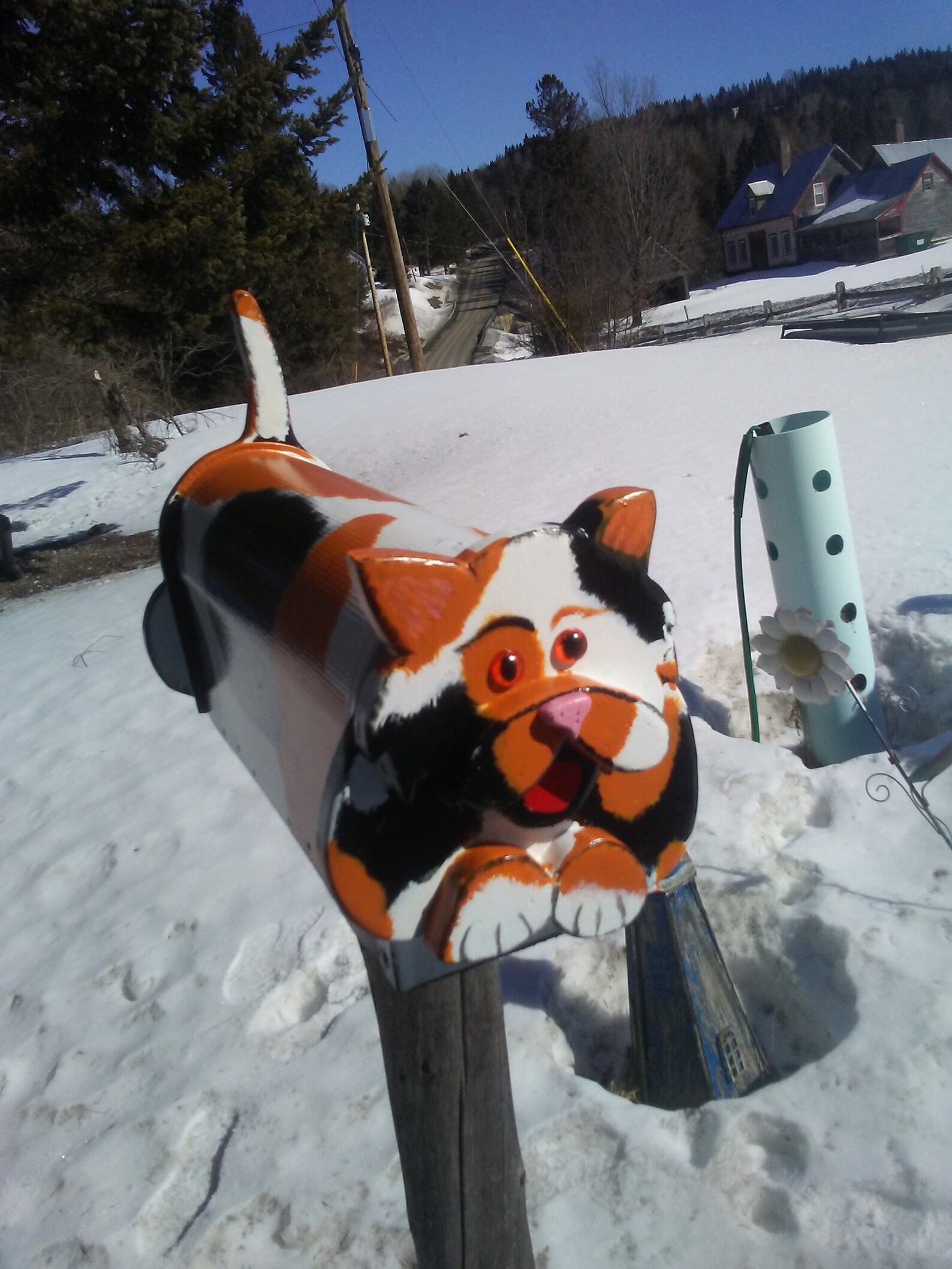 Cat Mailbox Cat Lover Gift Cat Lover Gift Cat Mom Gifts - Etsy