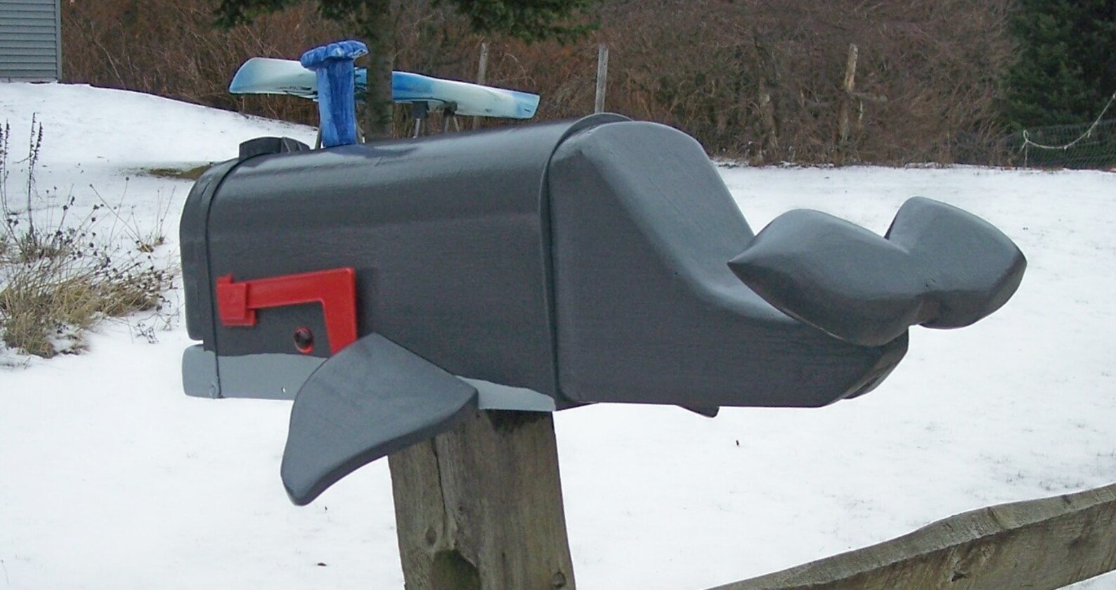 Sperm Whale With Blow Hole Fish Custom Mailbox Whale Mail Box - Etsy Canada