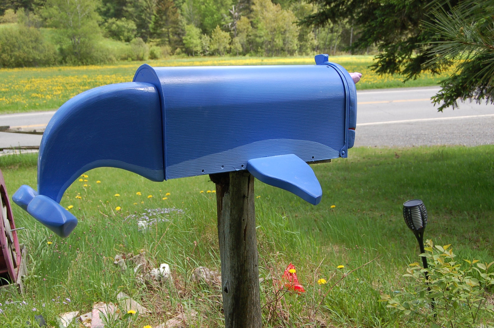 Narwhal Mail Box Mystical Whale Fish Mail Box Water Life - Etsy