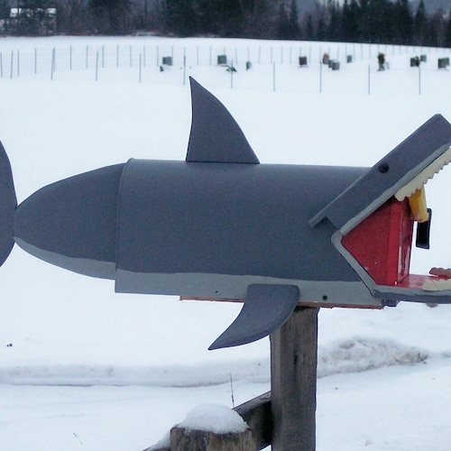 Shark Mailbox Great White Shark Mail Box Shark Mail Box - Etsy