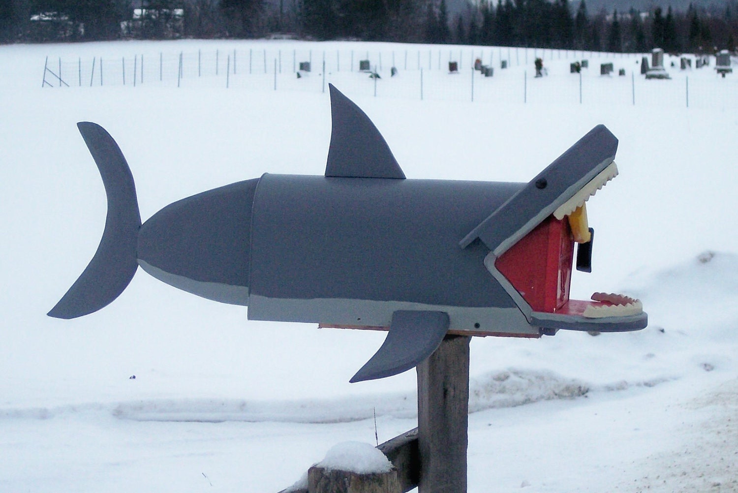 Shark Mailbox, Great White Shark, Mail Box, Shark Mail Box, Water Life ...