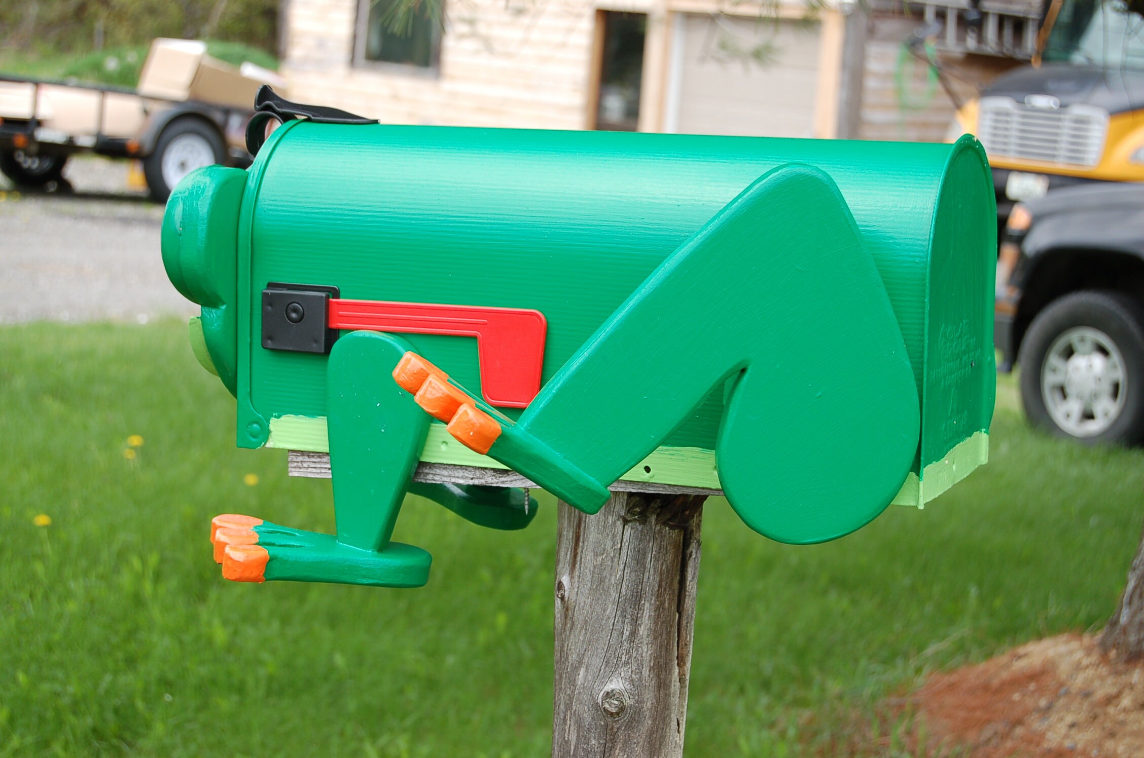 Tree Frog Custom Mailbox Animal Giftcrossknots Woodworking - Etsy Canada