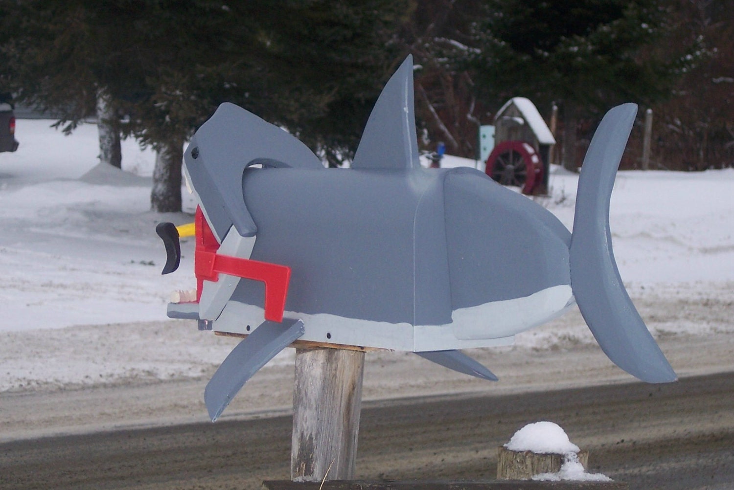 Shark Mailbox, Great White Shark, Mail Box, Shark Mail Box, Water Life ...