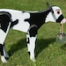 Calf Baby Cow Solar Light - Etsy