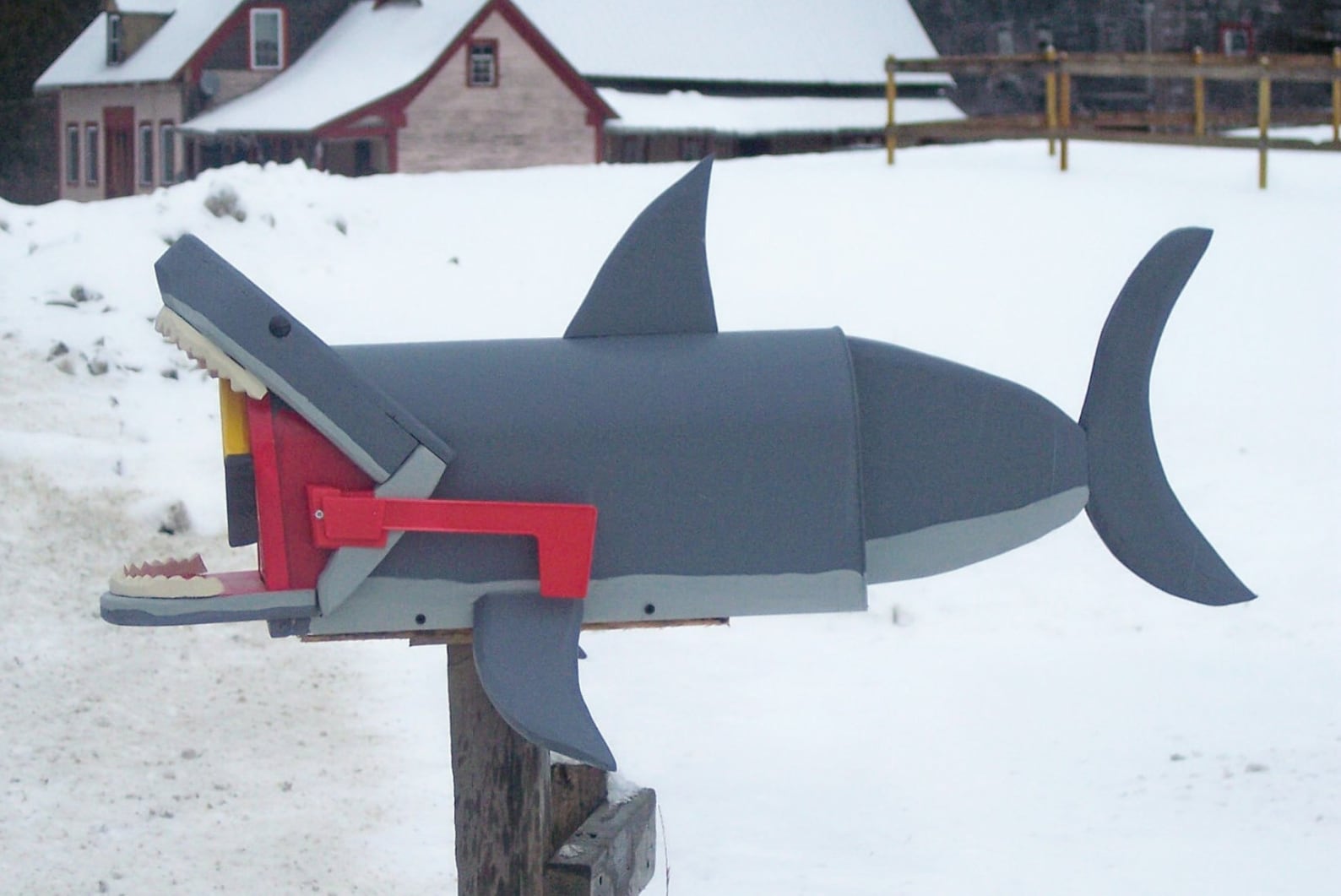 Shark Mailbox, Great White Shark, Mail Box, Shark Mail Box, Water Life ...