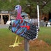 Wild Eastern Turkey Mailbox, Turkey Mailbox. - Etsy