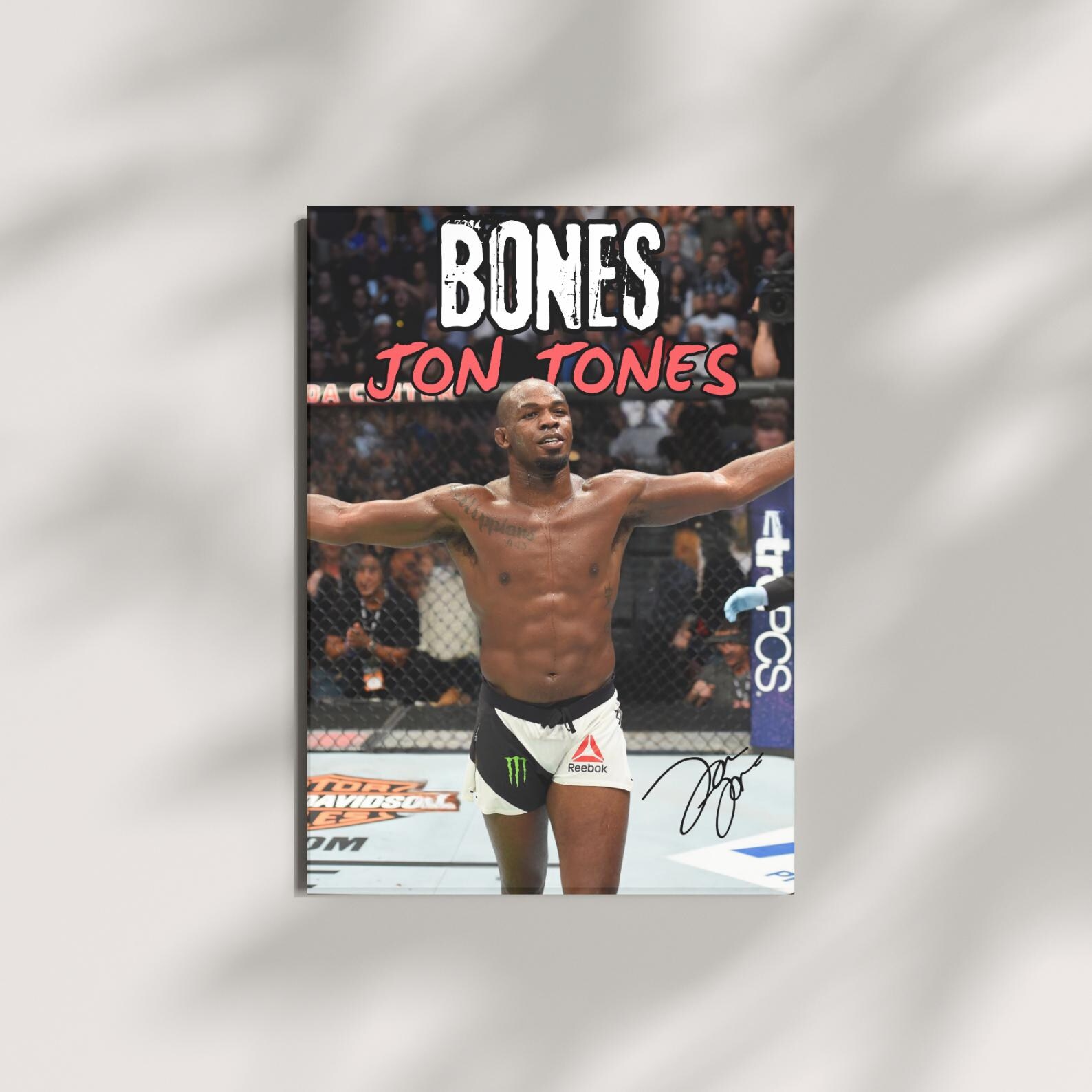 Jon Jones UFC Champion Poster: MMA Fight Night Art - Etsy