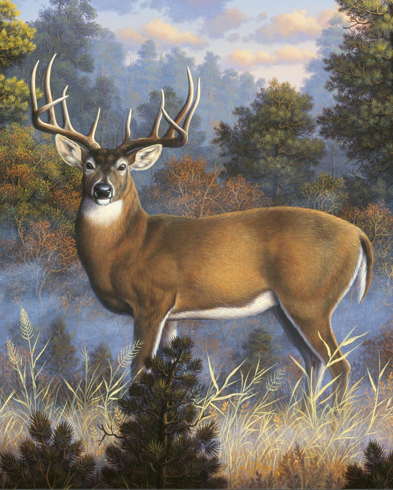 Buck in Morning Light Panel Cotton 35 Inches X45 Inches Wide - Etsy