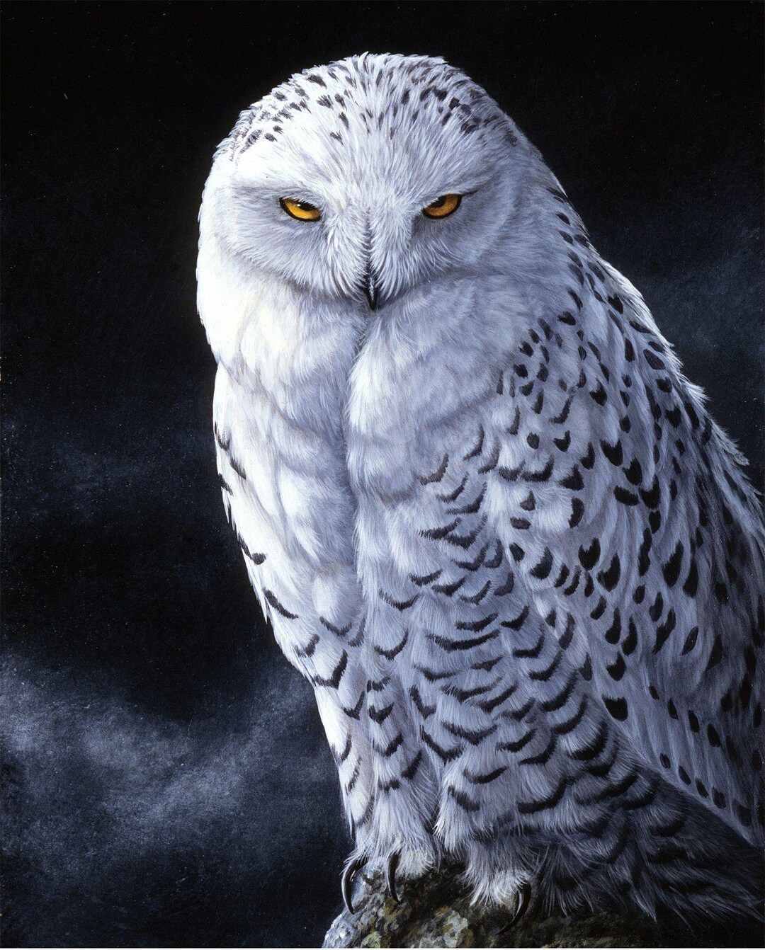 Snowy Owl Panel 35 Inches X 45 Inches - Etsy
