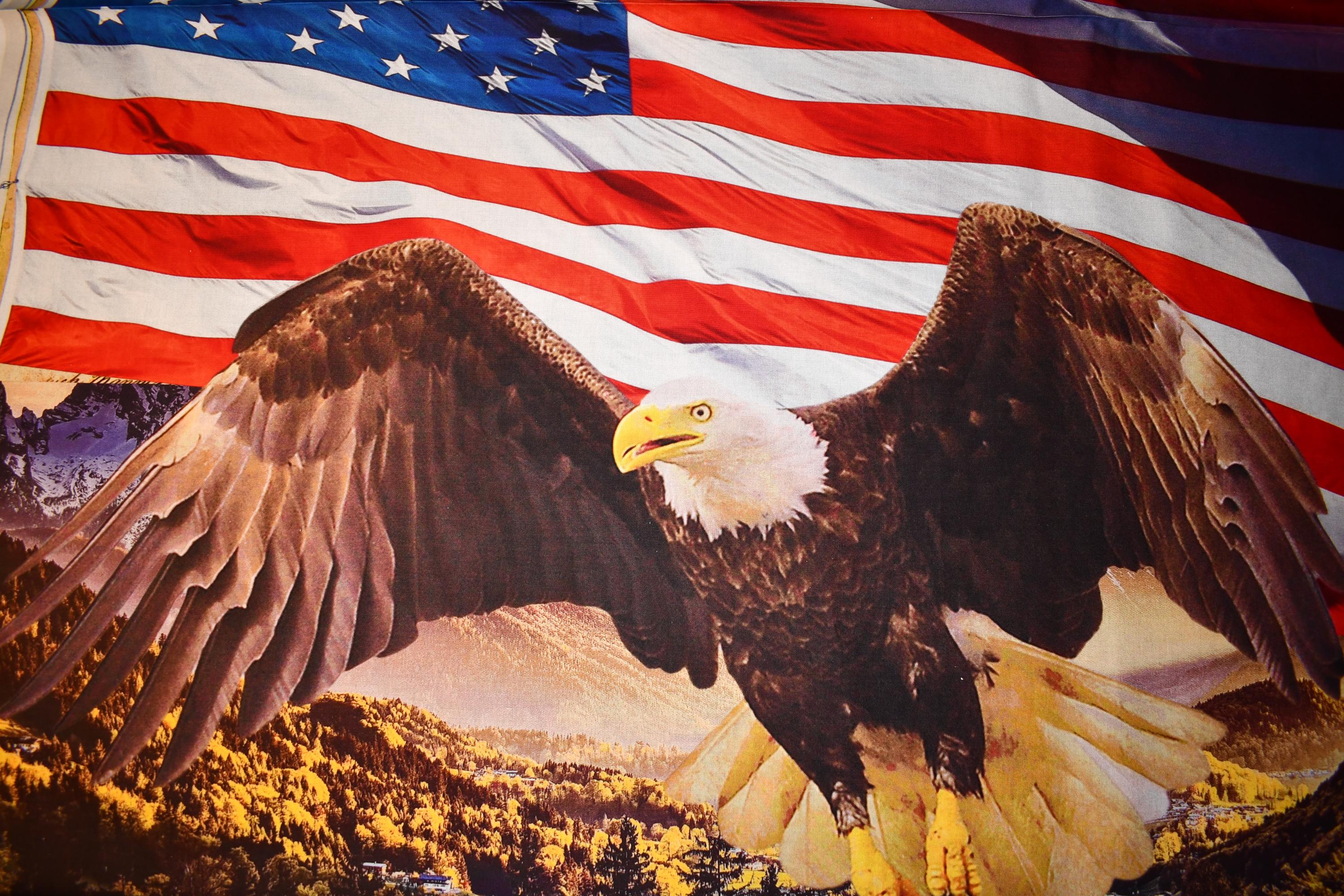 David Textiles DX-4234-3C-1 Eagle and Constitution Panel Cotton 35.5" X ...