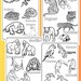 Jungle Animals Coloring Pages, Preschool Coloring Pages, Preschool ...
