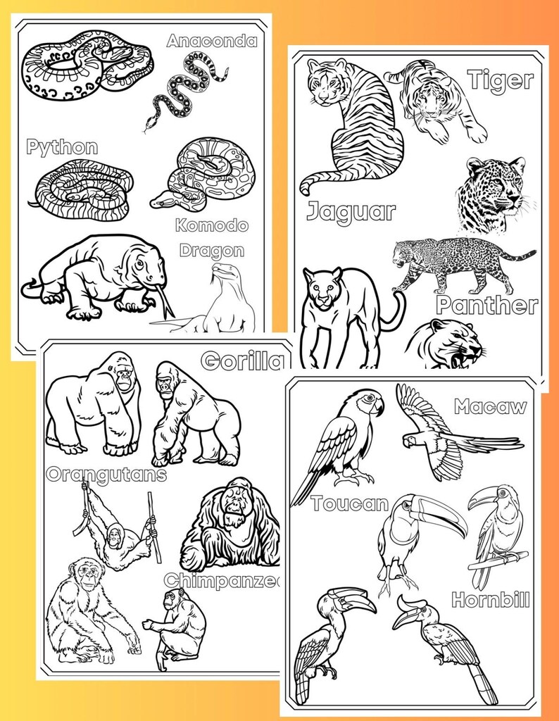 Jungle Animals Coloring Pages, Preschool Coloring Pages, Preschool ...