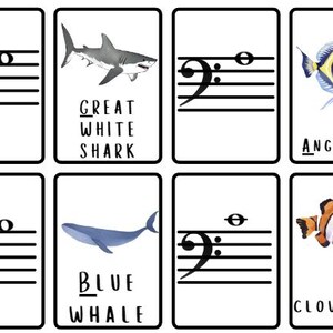 Music Note Flashcards, Treble Bass Clef Flashcards, Music Flashcards ...