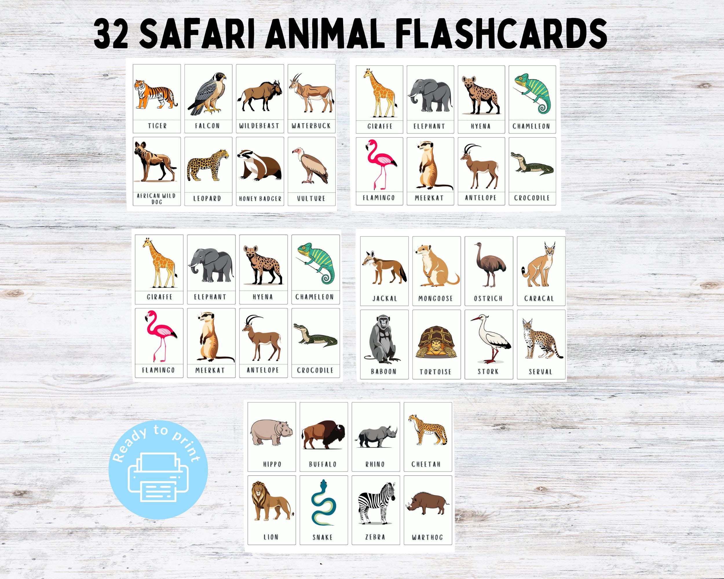 32 Safari Animals Flashcards, Montessori Flashcards, Printable Animal ...