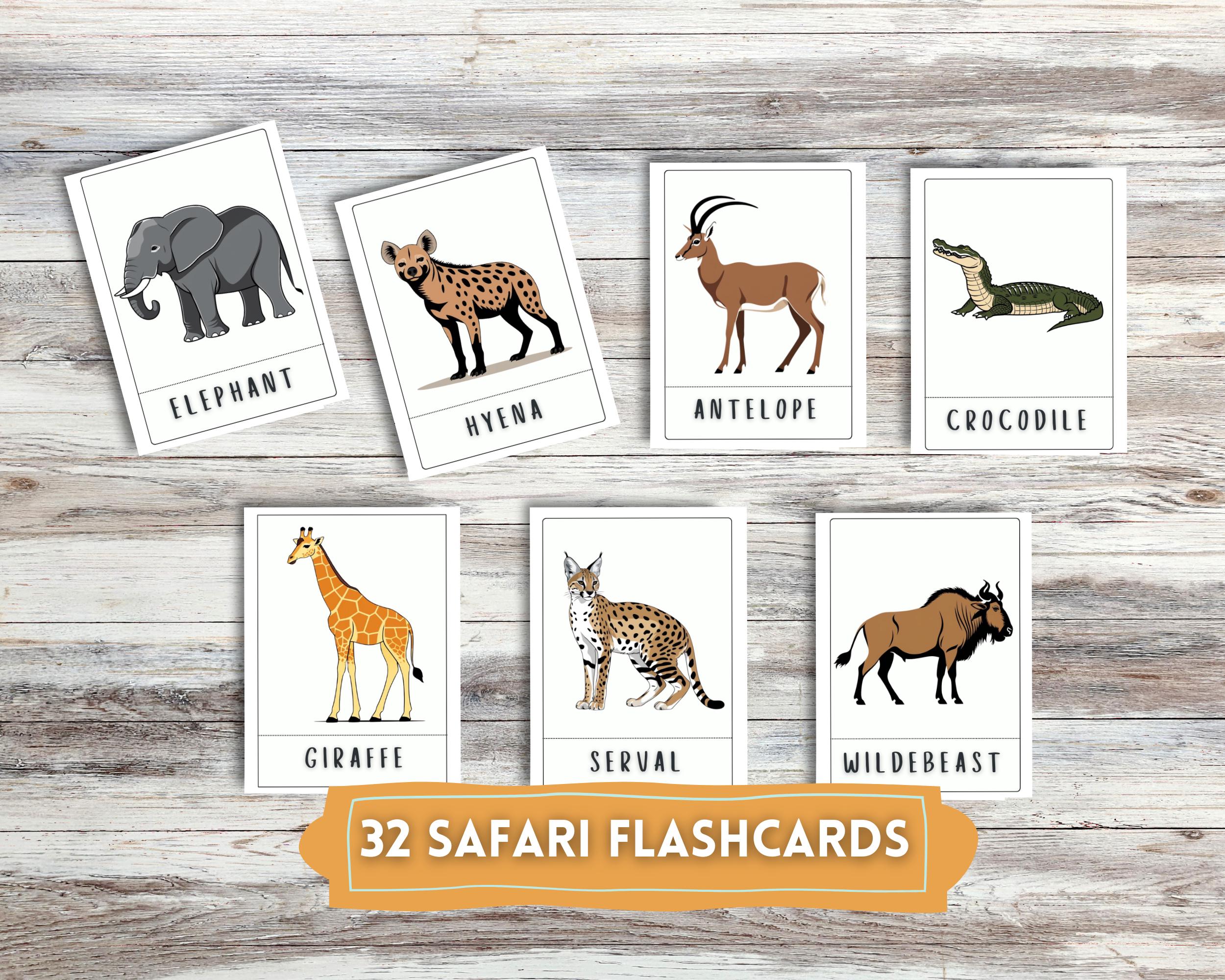 32 Safari Animals Flashcards, Montessori Flashcards, Printable Animal ...