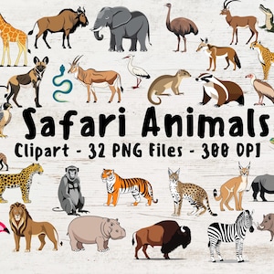 Safari Animals Clipart Bundle, Clipart Bundle, 32 Animal PNG, Safari ...