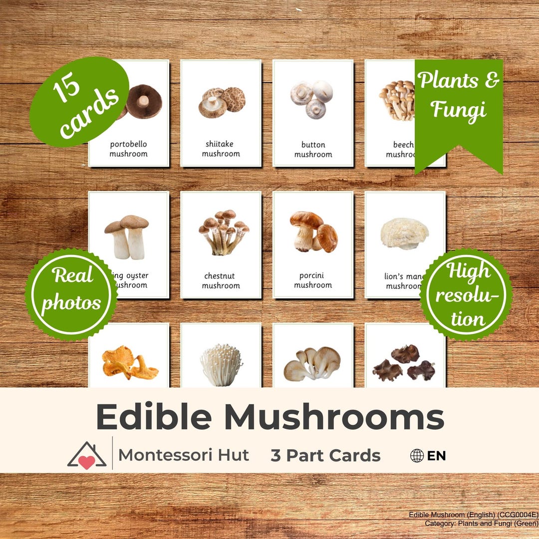 15 Edible Mushrooms Montessori 3 Part Cards|nomenclature Cards|pdf ...