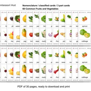 Mega Pack 60 Fruits and Vegetables Classified Cards; Montessori ...