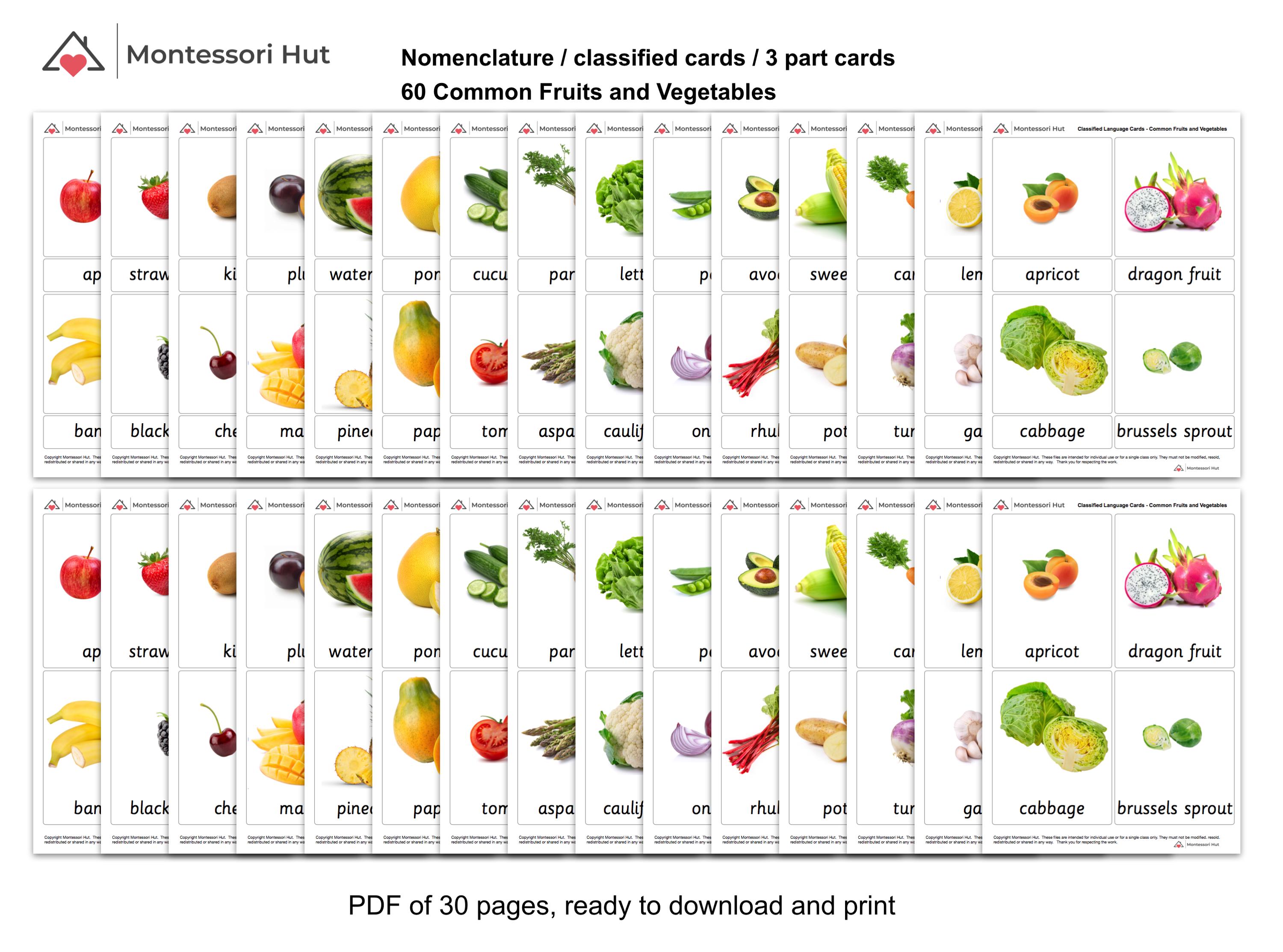 Mega Pack 60 Fruits and Vegetables Classified Cards; Montessori ...