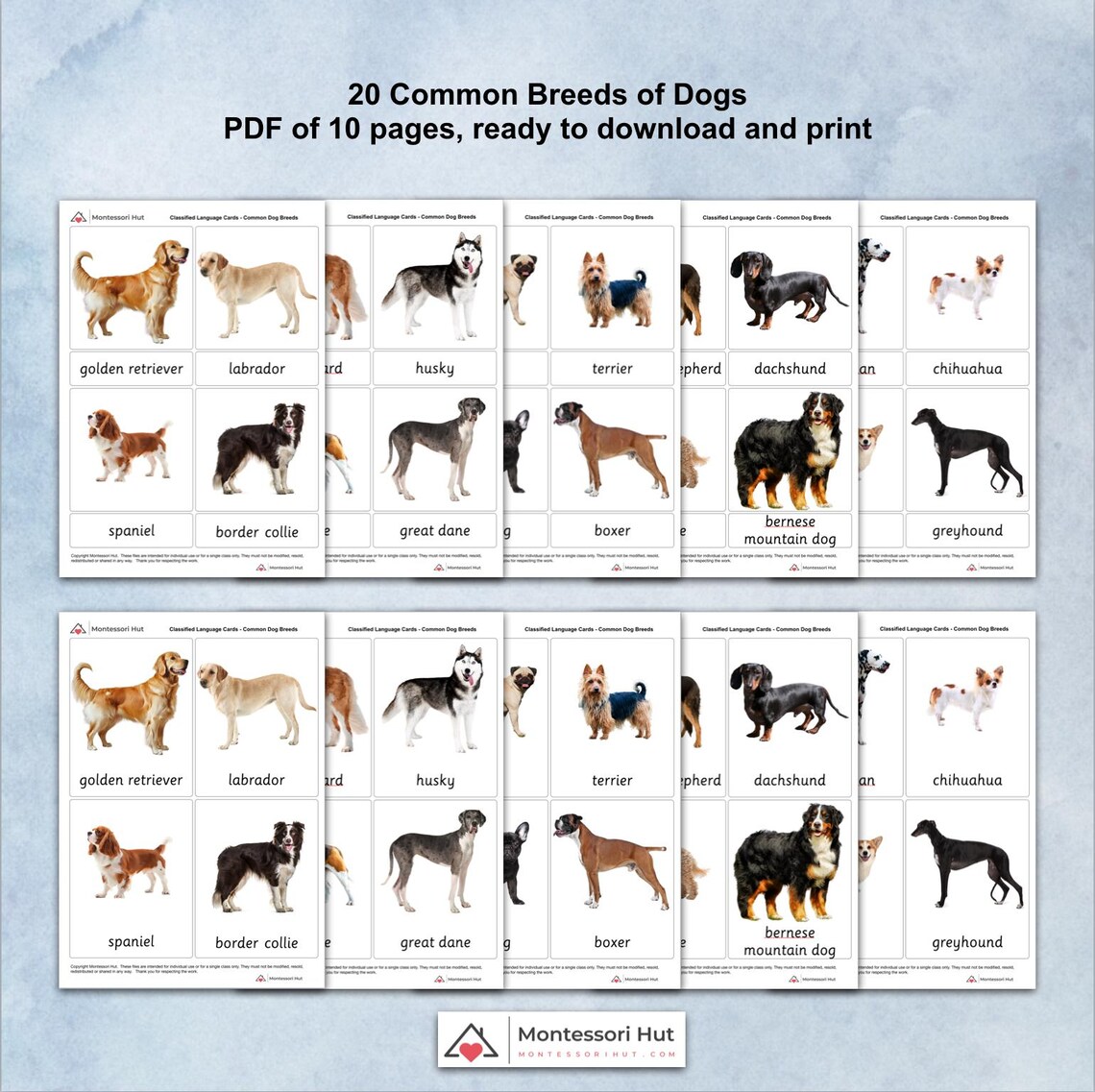 20 Common Dog Breeds - Montessori Cards • Flash Cards • Three Part ...