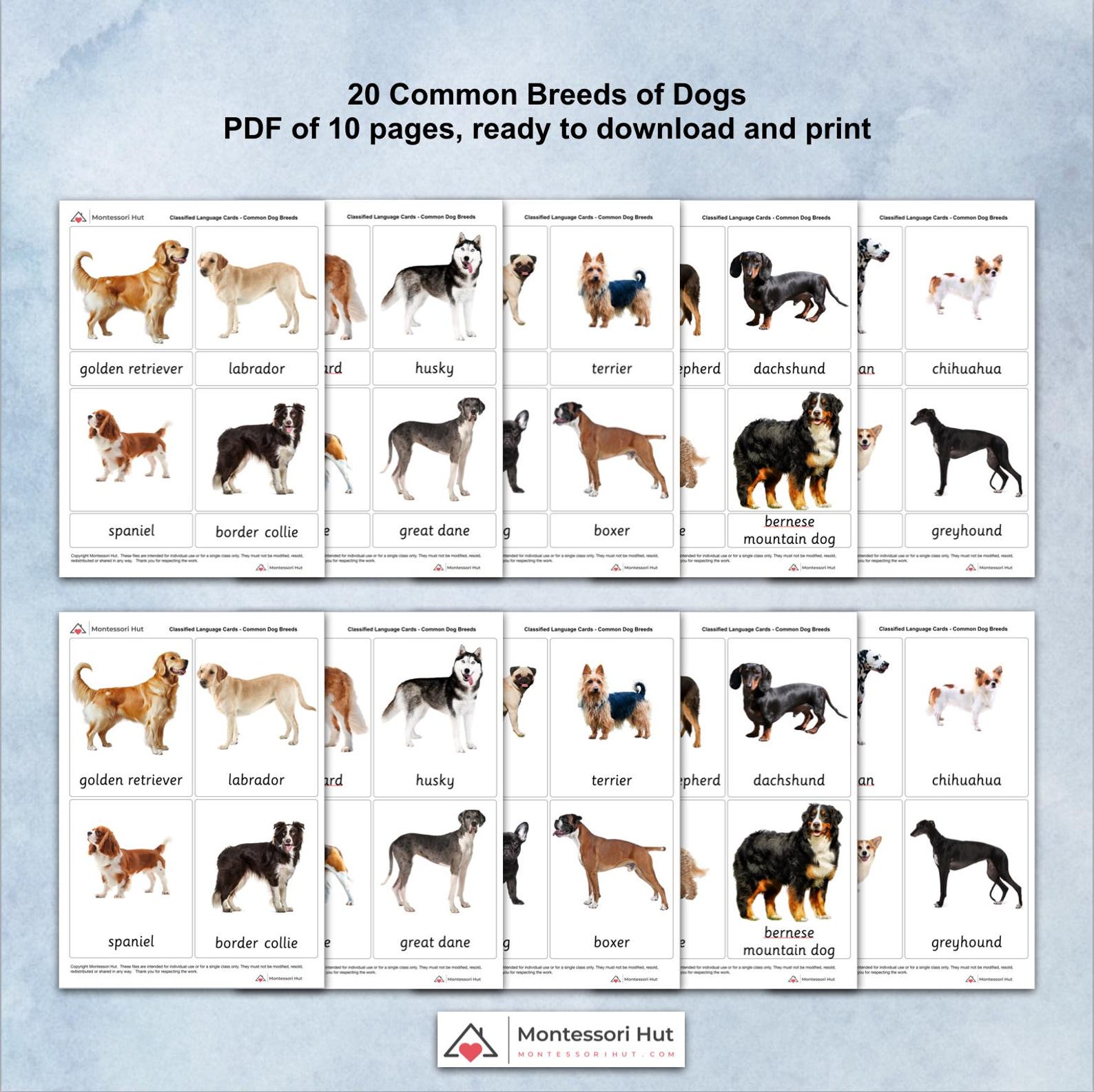 20 Common Dog Breeds - Montessori Cards • Flash Cards • Three Part ...