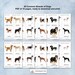 20 Common Dog Breeds - Montessori Cards • Flash Cards • Three Part ...