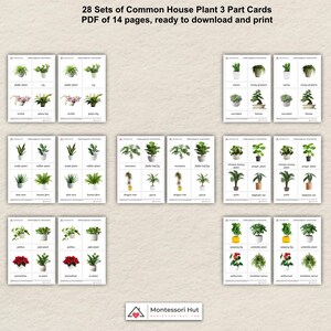 28 Common House Plants - Montessori Cards • Flash Cards • Three Part ...