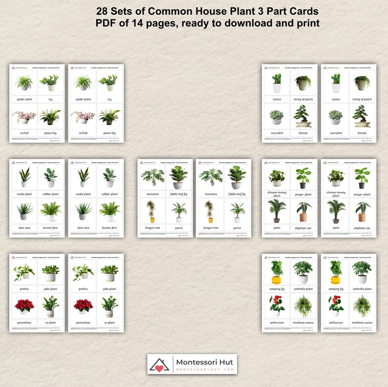 28 Common House Plants - Montessori Cards • Flash Cards • Three Part ...