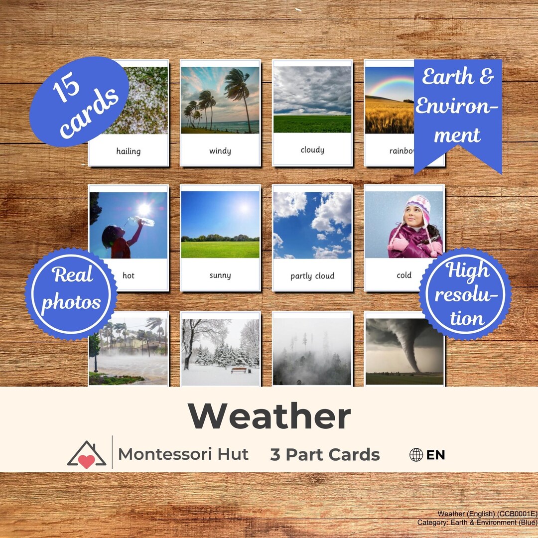 15 Weather Montessori 3 Part Cards|nomenclature Cards|pdf Educational ...