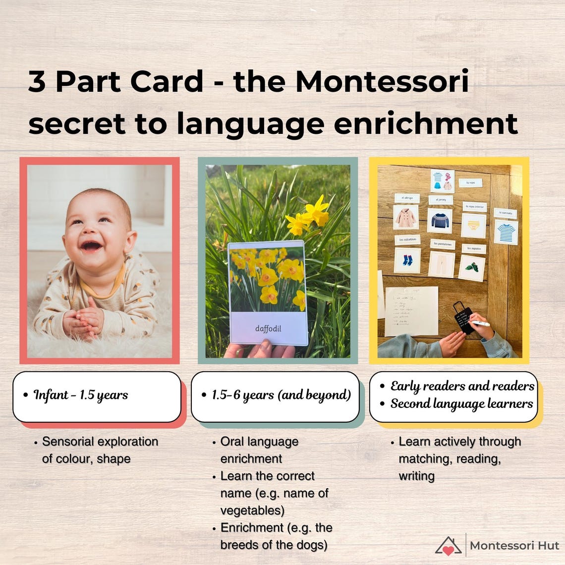 15 Edible Mushrooms Montessori 3 Part Cards|nomenclature Cards|pdf ...