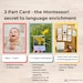 15 Types of Pasta Montessori 3 Part Cards | Nomenclature |PDF ...