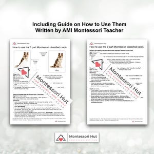 20 Christmas Traditions - Montessori Cards • Flash Cards • Three Part ...