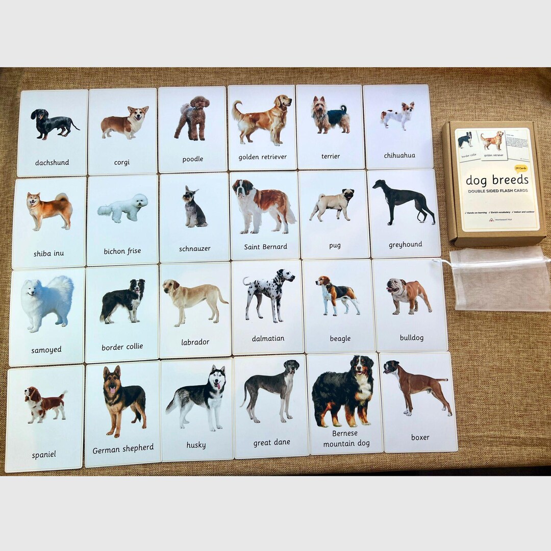24 Dog Breeds Flash Cards With Facts - Educational Language Activity ...