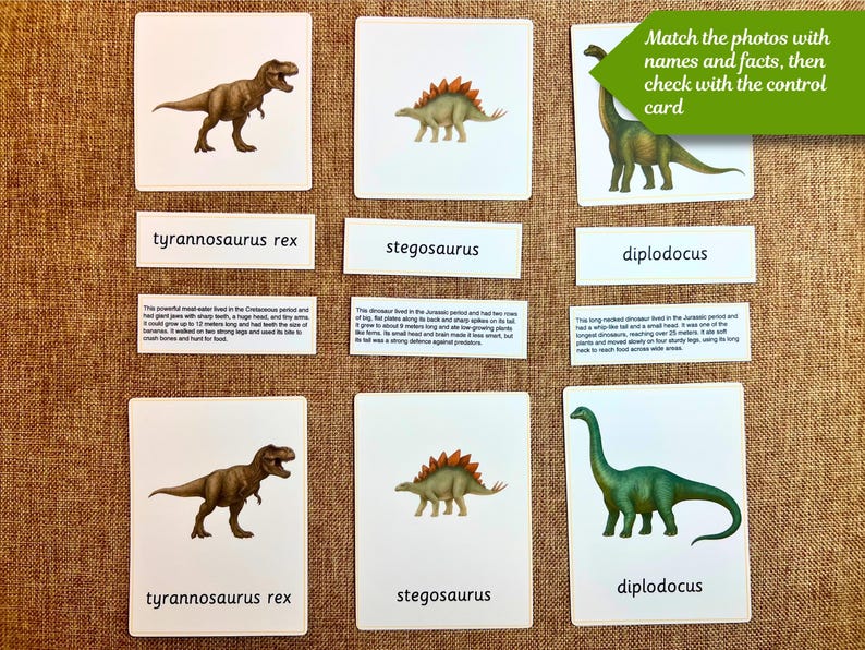Dinosaurs Montessori 3 Part Card With Fact Cards for Reading and ...
