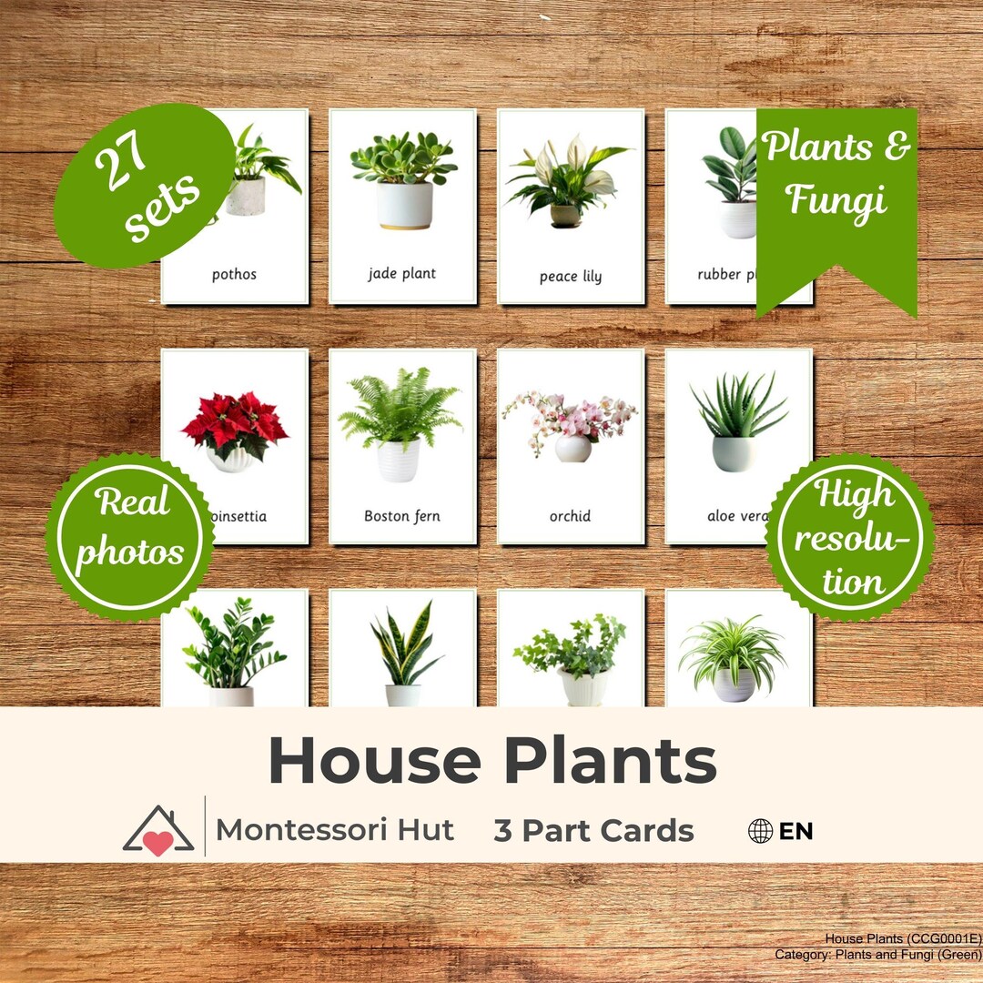 Mega Pack 27 Common House Plants Montessori Cards • Flash Cards • Three ...
