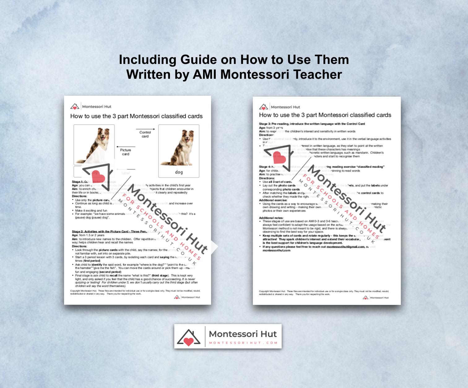 20 Common Dog Breeds - Montessori Cards • Flash Cards • Three Part ...